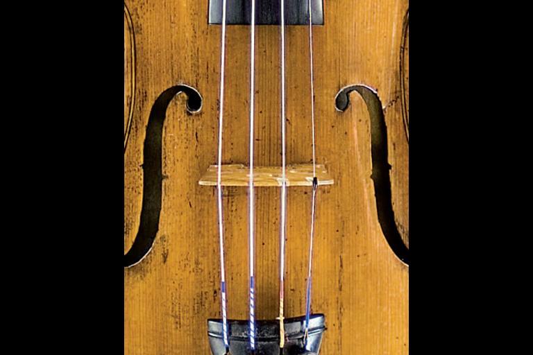 In Focus: studies of great and unusual stringed instruments | Gallery ...